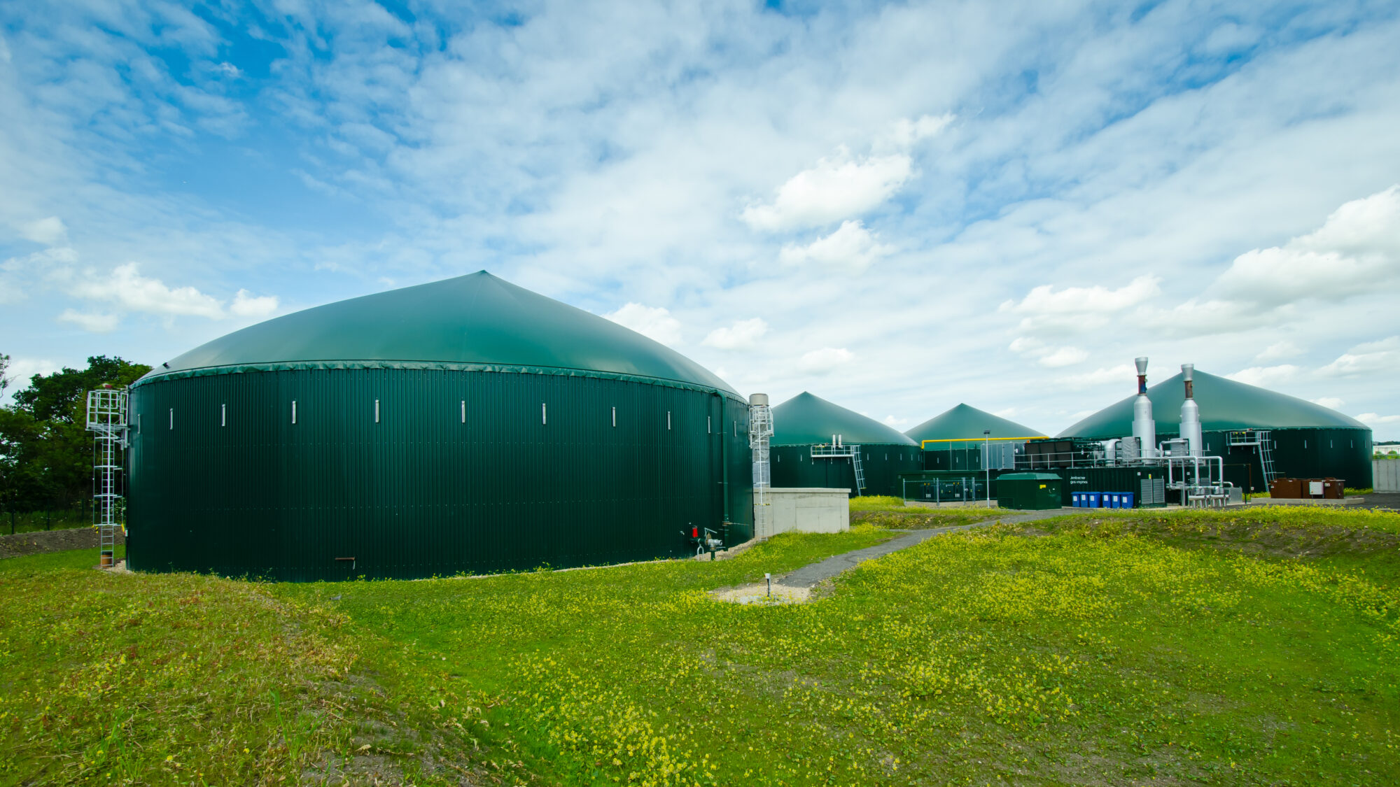 Outlining the Feedstock Potential for Biomethane Generation | Alder ...