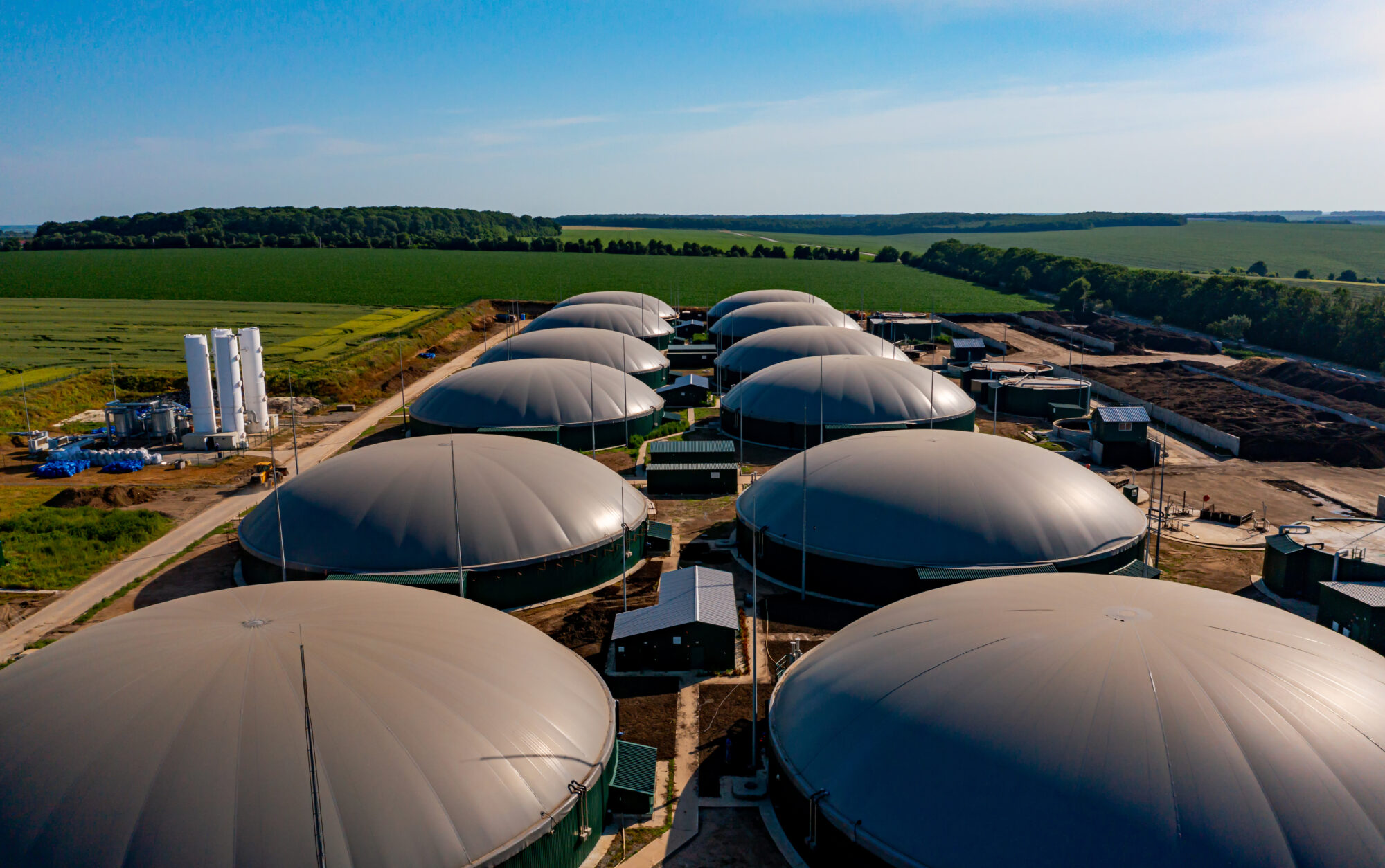 Sustainable crop feedstock for AD | Alder BioInsights